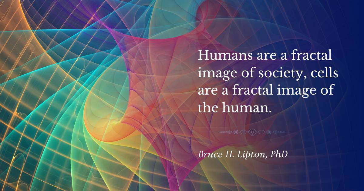 Resources - Bruce H. Lipton, PhD